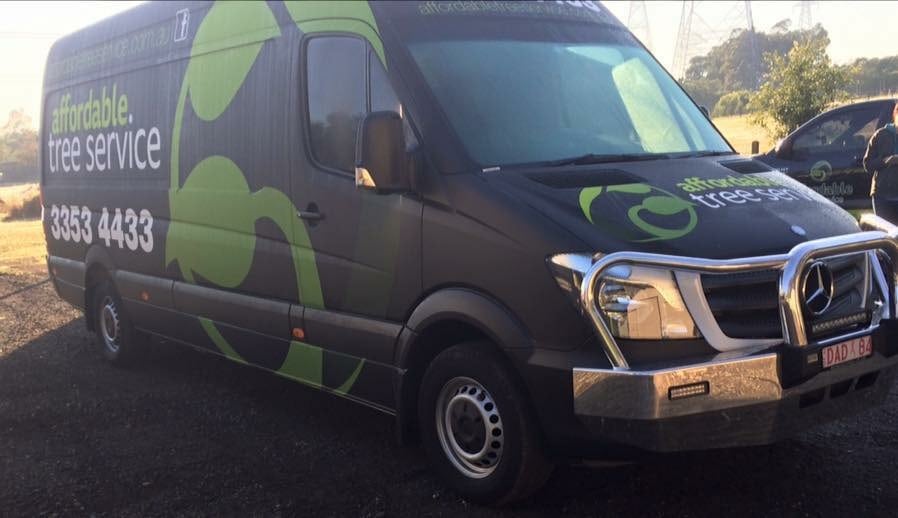 Affordable Tree Service: Expert Tree Lopping in Brisbane