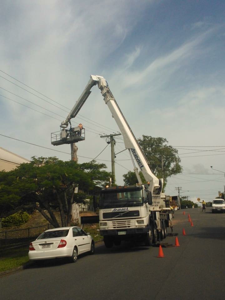 Tree Service Project Gallery | Affordable Tree Service