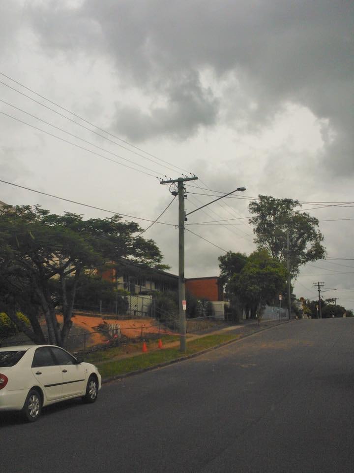 Affordable Tree Service: Expert Tree Lopping in Brisbane