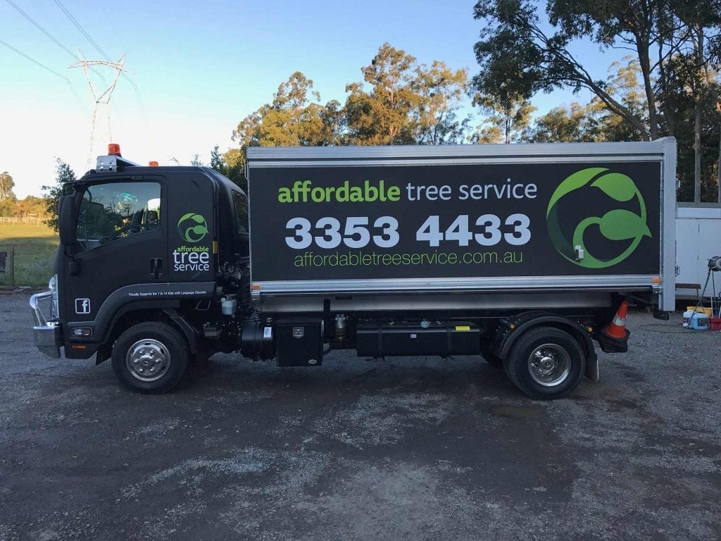 Affordable Tree Service: Expert Tree Lopping in Brisbane