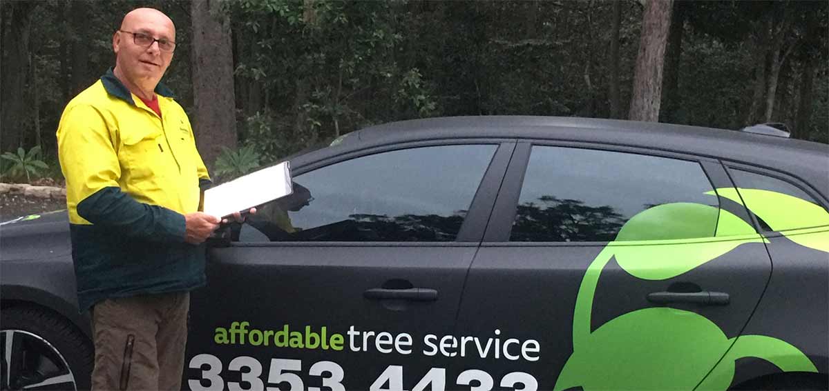 Gallery of Our Work & The Equipment We Use | Affordable Tree Service