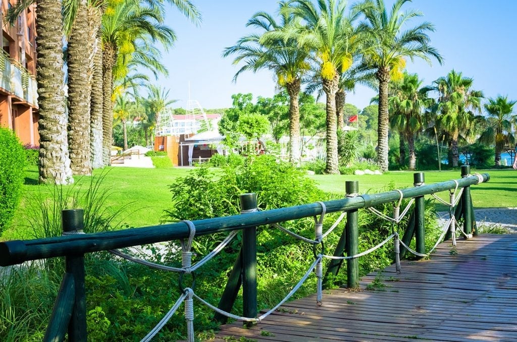 Affordable Tree Service: Expert Tree Lopping in Brisbane